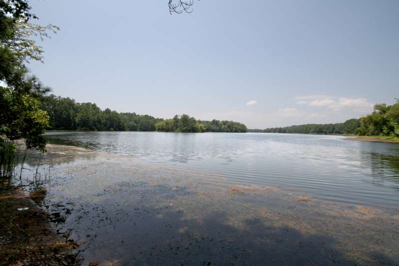 Pinkston Lake – Great Texas Land Rush